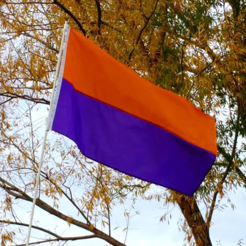 2 Piece Flag (L) - Designs in Motion