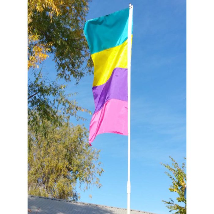 Jimi Special 2x5 - 4 Color Flagbanners - Designs in Motion