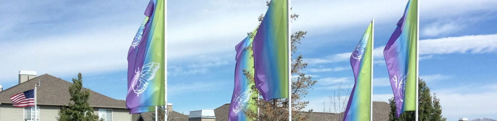 Flags - Designs in Motion