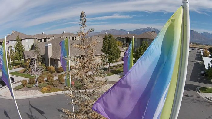 Designs in Motion - FlagsPolesBanners.com - Designs in Motion