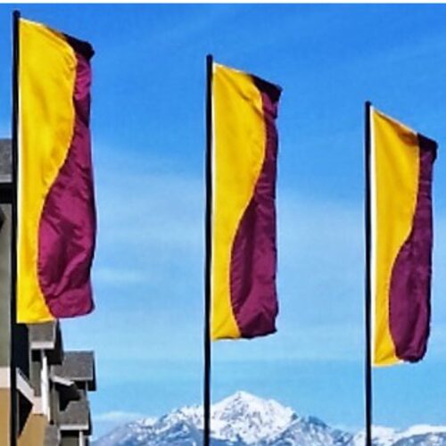 Carnival, Concessions, Food & Beverage Flags - Designs in Motion